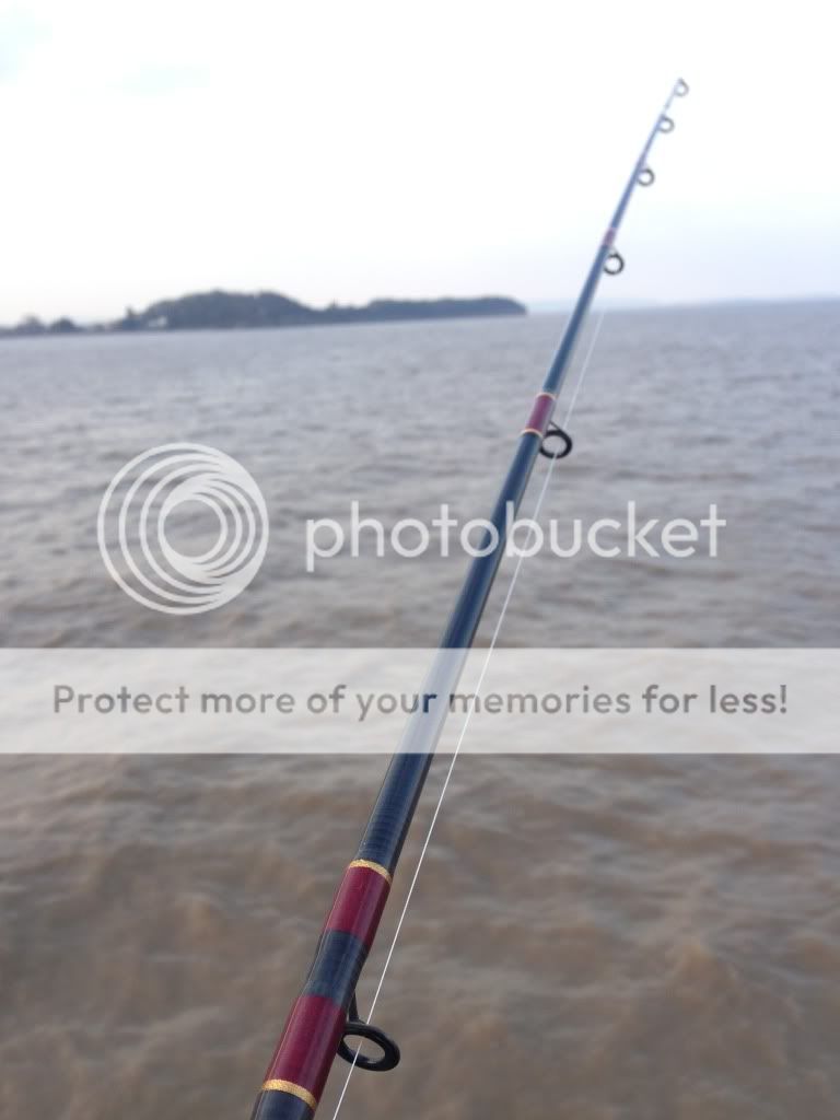 VMax F2 | World Sea Fishing Forums