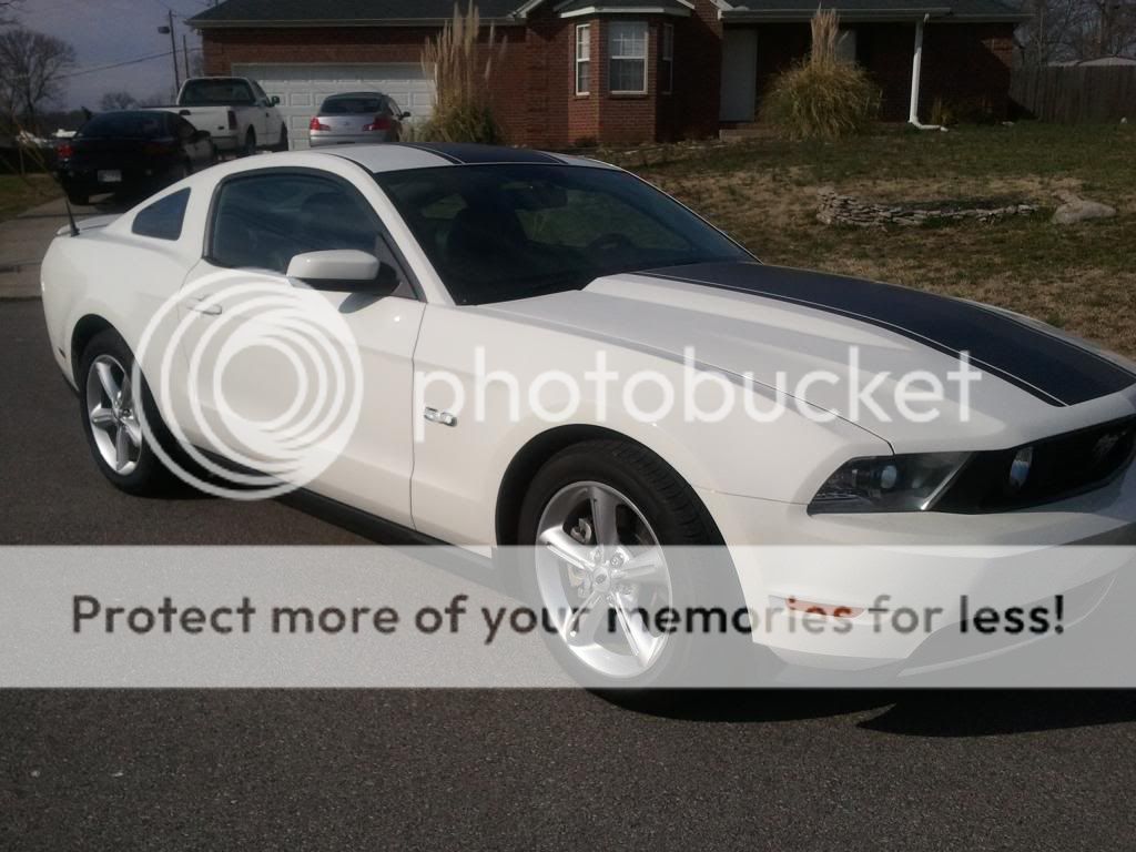 A few stang pics | Modded Mustang Forums